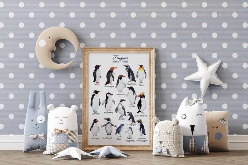 Penguins Species Montessori Poster Educational Poster Types - Etsy