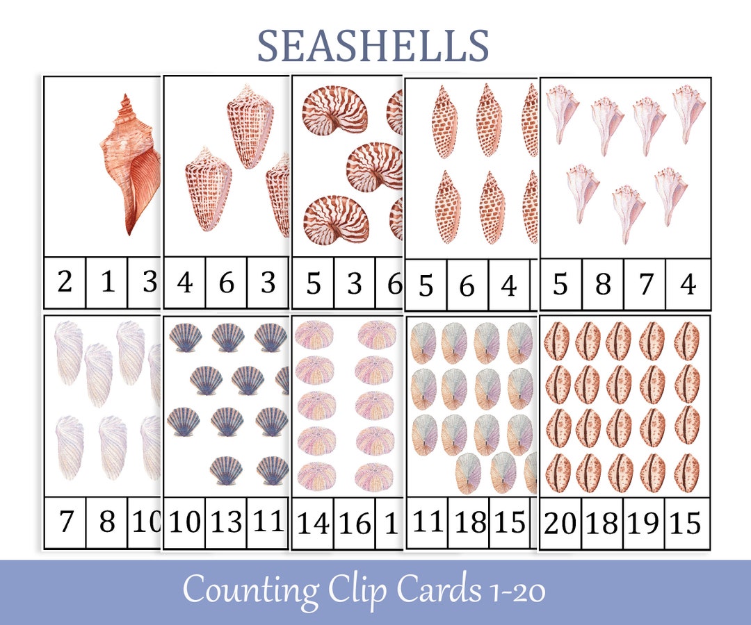 Seashells Count and Clip Cards, Number 1 - 20, Flashcards, Summer ...