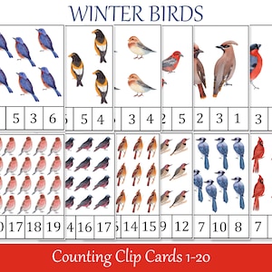 Winter Birds Count and Clip Cards, Number 1 - 20, Flashcards, Christmas ...
