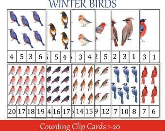 Seashells Count and Clip Cards Number 1 20 Flashcards | Etsy