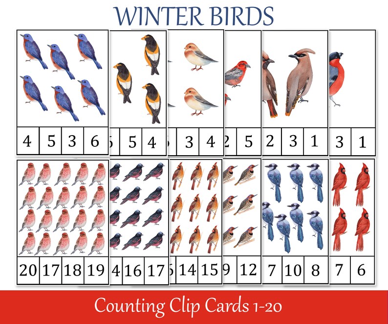 Winter Birds Count and Clip Cards, Number 1 - 20, Flashcards, Christmas ...