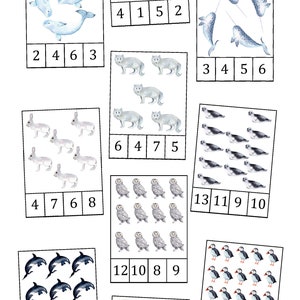 Arctic Animals Count and Clip Cards, Montessori Counting Numbers 1 - 20 ...