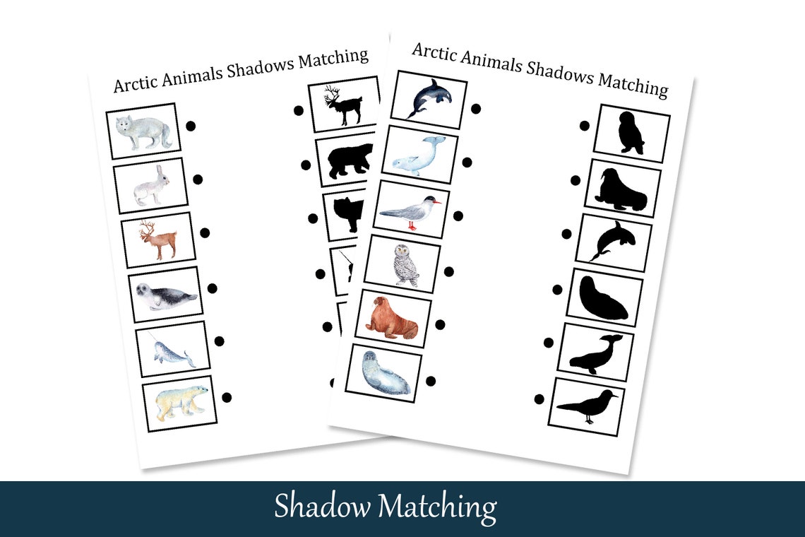 Arctic Animals Shadow Matching Cards, Toddler Montessori Printable ...