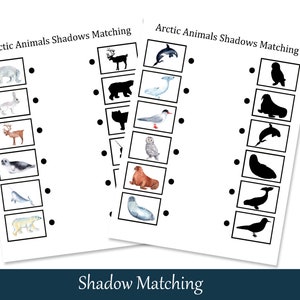 Arctic Animals Shadow Matching Cards, Toddler Montessori Printable ...