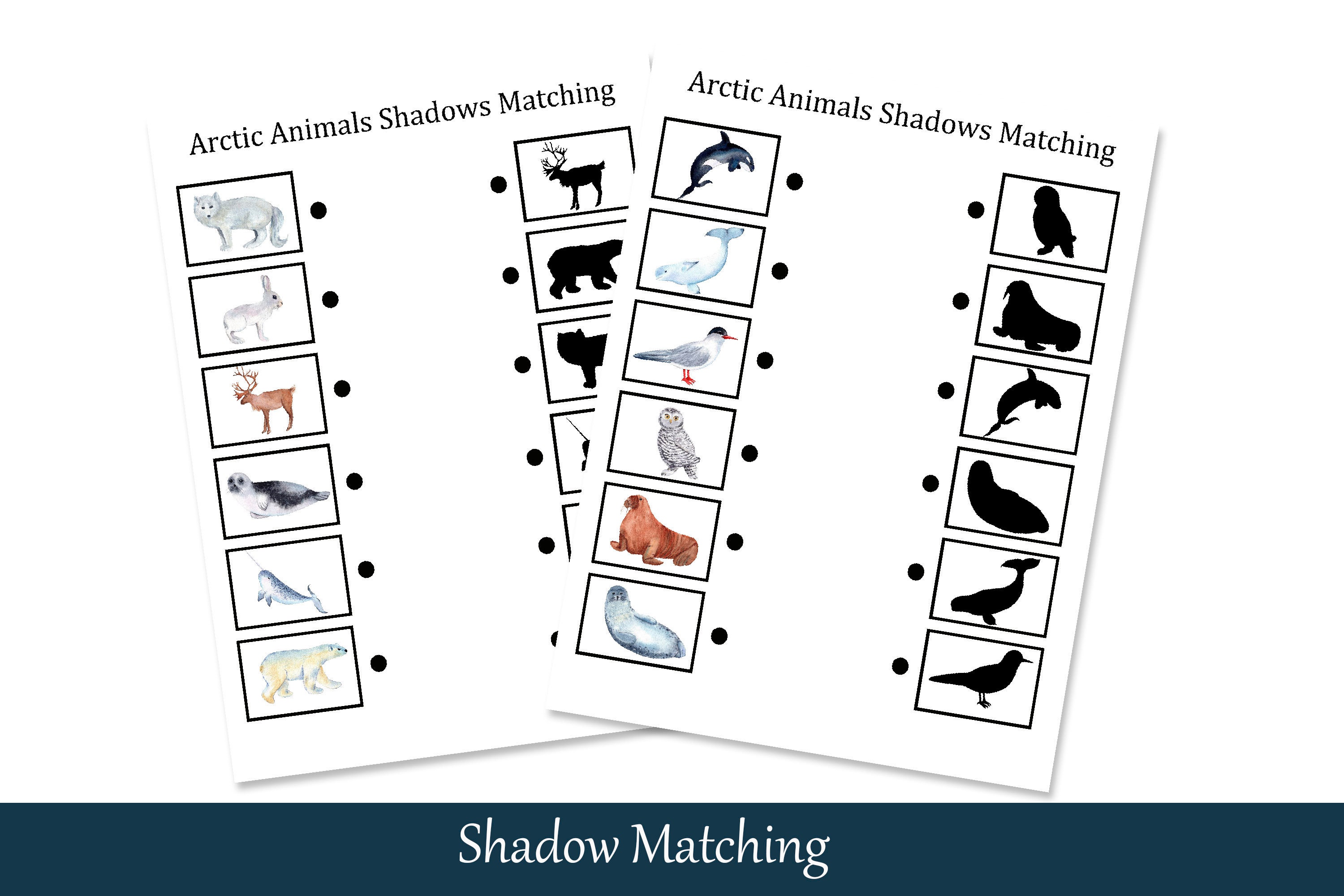 Arctic Animals Shadow Matching Cards, Toddler Montessori Printable ...