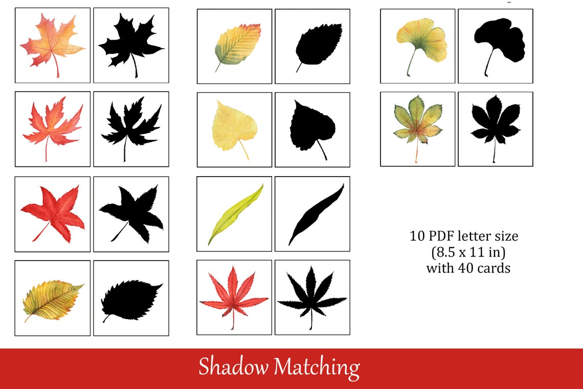 Autumn Leaves Shadow Matching Cards, Toddler Montessori Printable - Etsy