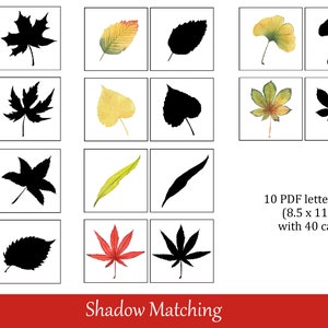 Autumn Leaves Shadow Matching Cards, Toddler Montessori Printable - Etsy