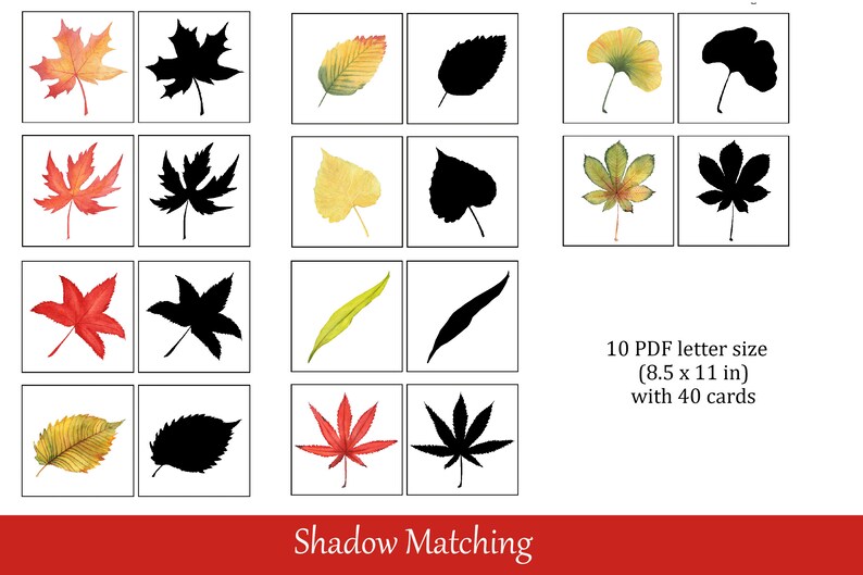 Autumn Leaves Shadow Matching Cards, Toddler Montessori Printable - Etsy