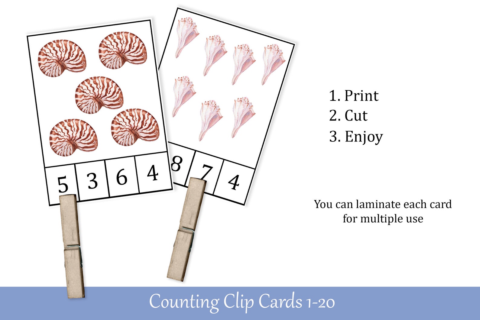 Seashells Count and Clip Cards, Number 1 - 20, Flashcards, Summer ...