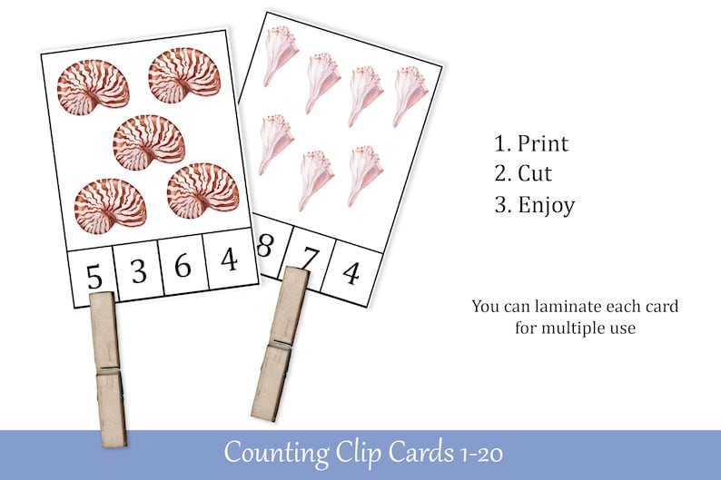 Seashells Count and Clip Cards, Number 1 - 20, Flashcards, Summer ...