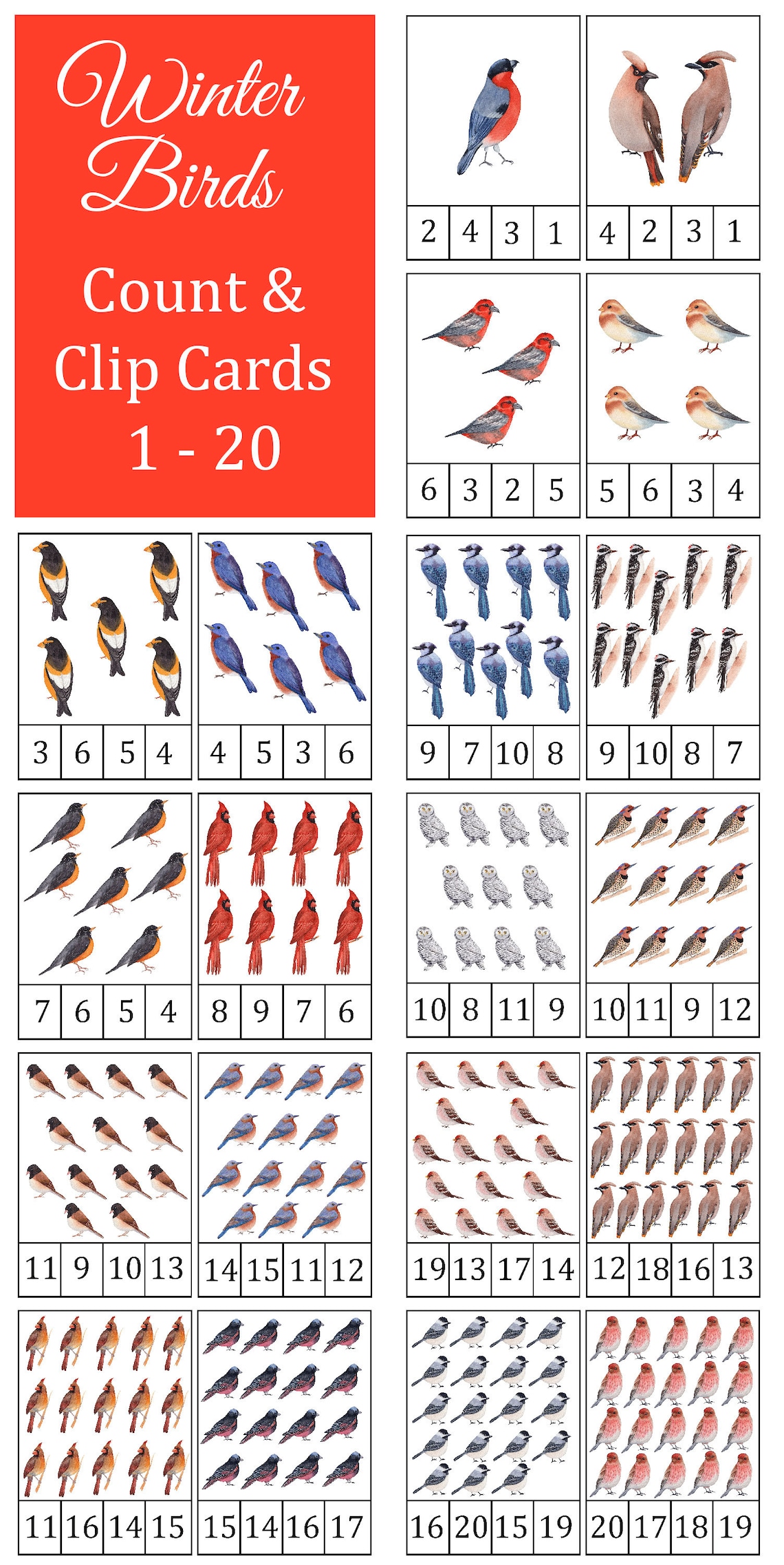 Winter Birds Count and Clip Cards Number 1 20 Flashcards - Etsy