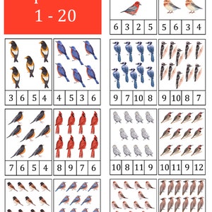 Winter Birds Count and Clip Cards, Number 1 - 20, Flashcards, Christmas ...