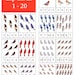 Winter Birds Count and Clip Cards, Number 1 - 20, Flashcards, Christmas ...