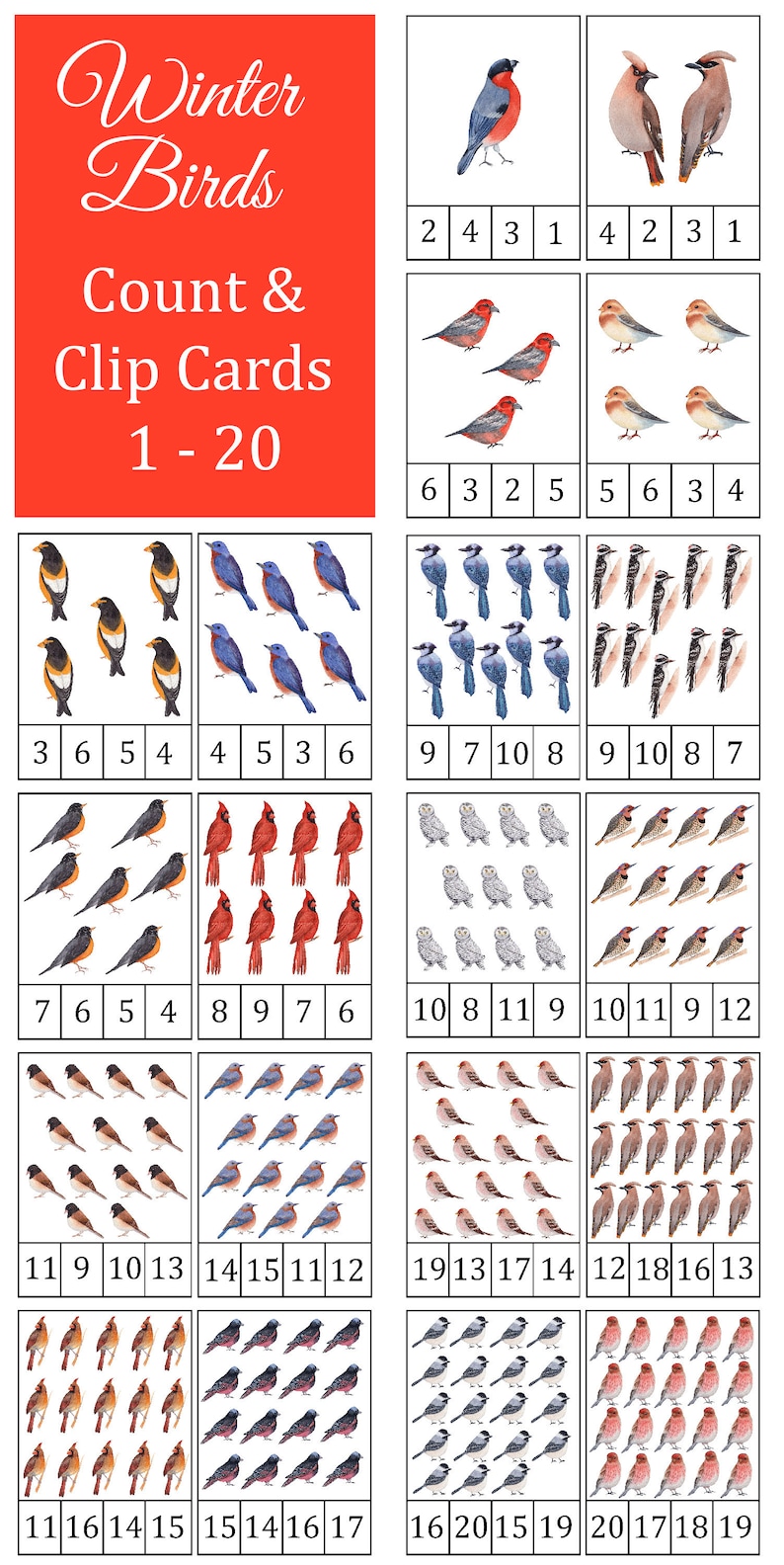 Winter Birds Count and Clip Cards Number 1 20 Flashcards - Etsy
