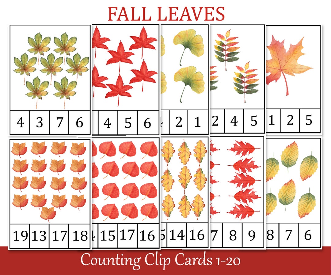 Fall Leaves Count and Clip Cards, Number 1 - 20, Flashcards, Autumn ...