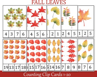 Seashells Count and Clip Cards Number 1 20 Flashcards | Etsy