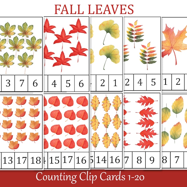 Count and Clip Cards - Etsy