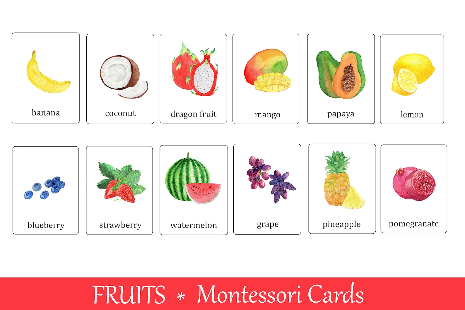 Fruits Watercolor Flash Cards. Montessori Three Part Cards ...