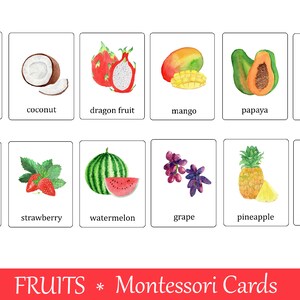 Fruits Watercolor Flash Cards. Montessori Three Part Cards ...