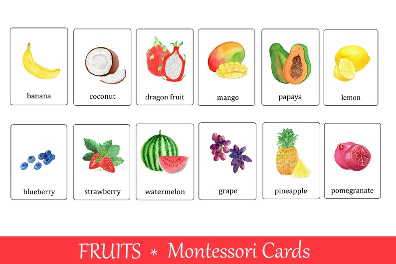 Fruits Watercolor Flash Cards. Montessori Three Part Cards ...