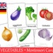 Vegetables Watercolor Flash Cards. Montessori Three Part Cards ...