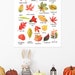 Fall Leaf Identification Montessori Poster, Educational Poster, Autumn ...