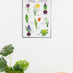 Spring Flowers Montessori Poster, Educational Poster, Crocus, Daffodil ...