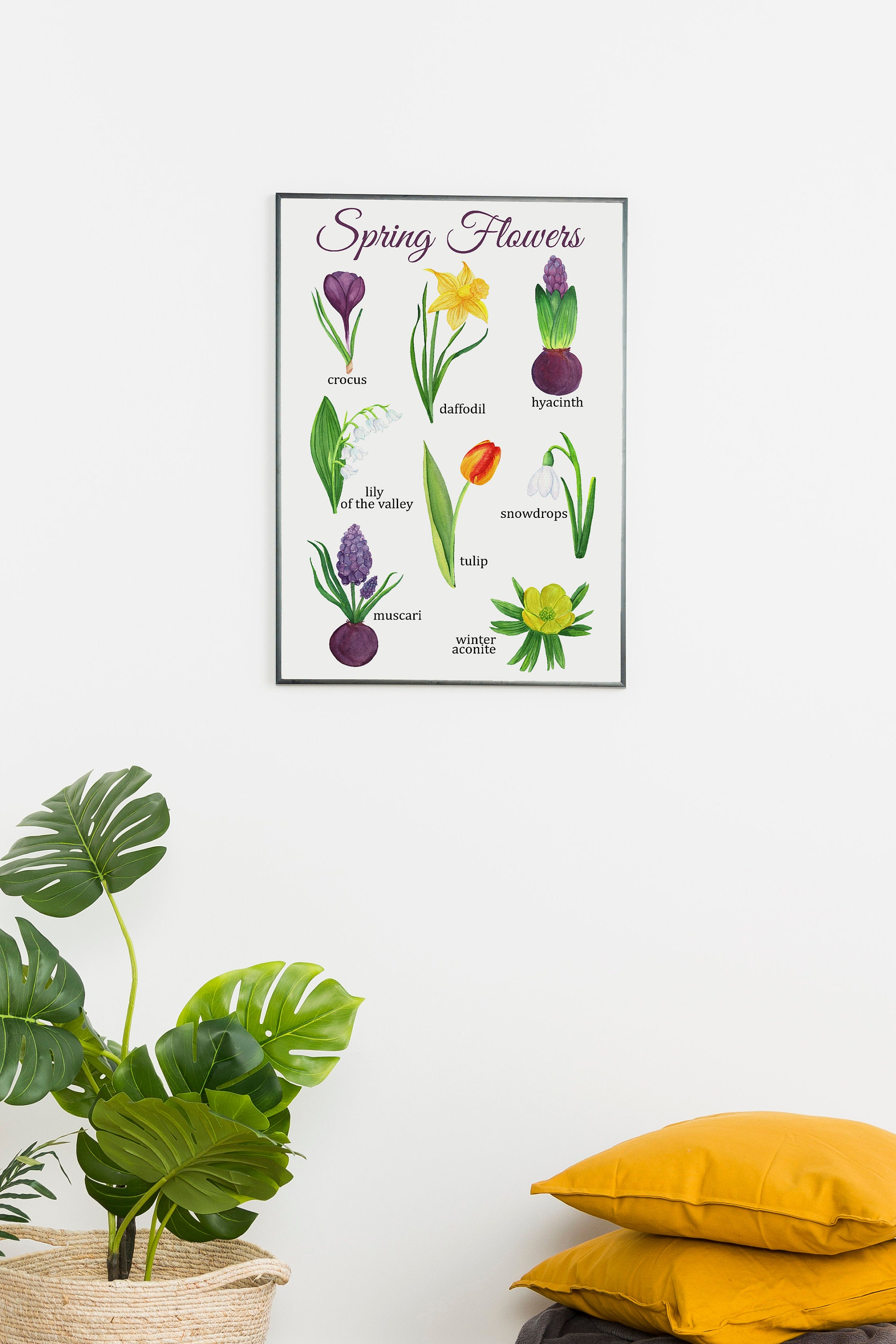 Spring Flowers Montessori Poster, Educational Poster, Crocus, Daffodil ...