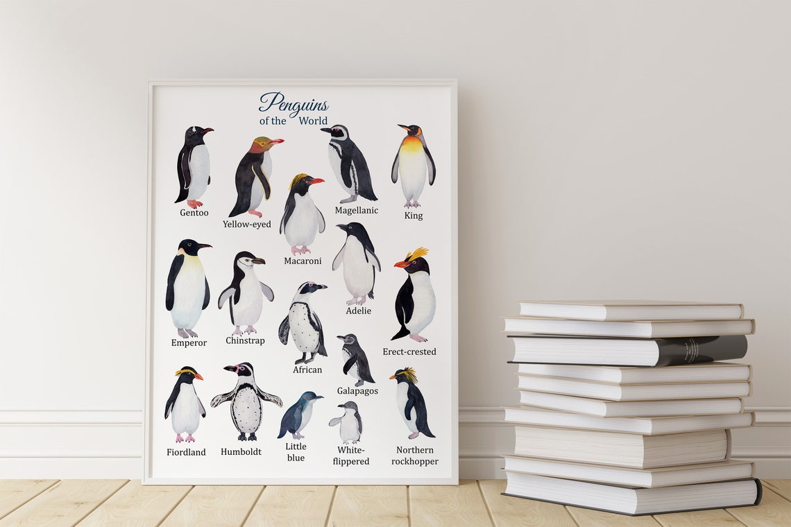Penguins Species Montessori Poster, Educational Poster, Types of ...
