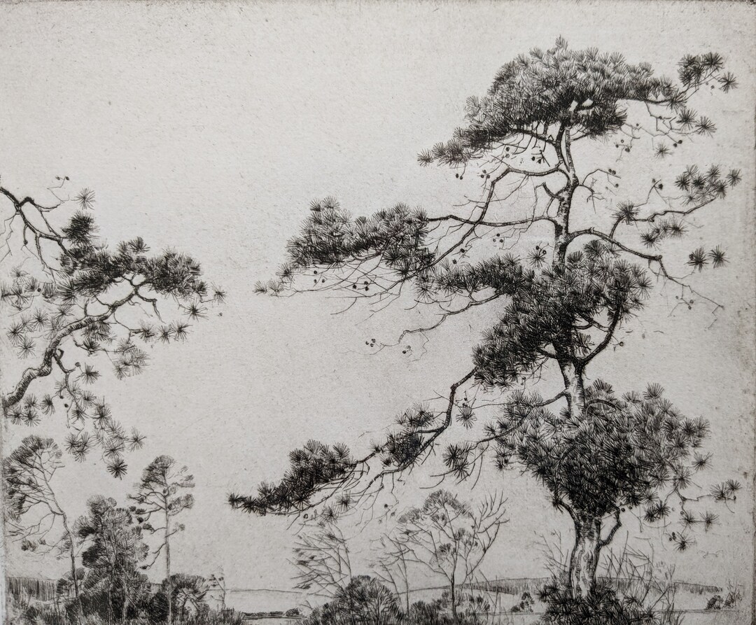 Alfred Hutty Etching "pines (california Pines)" 1924, Signed - Etsy