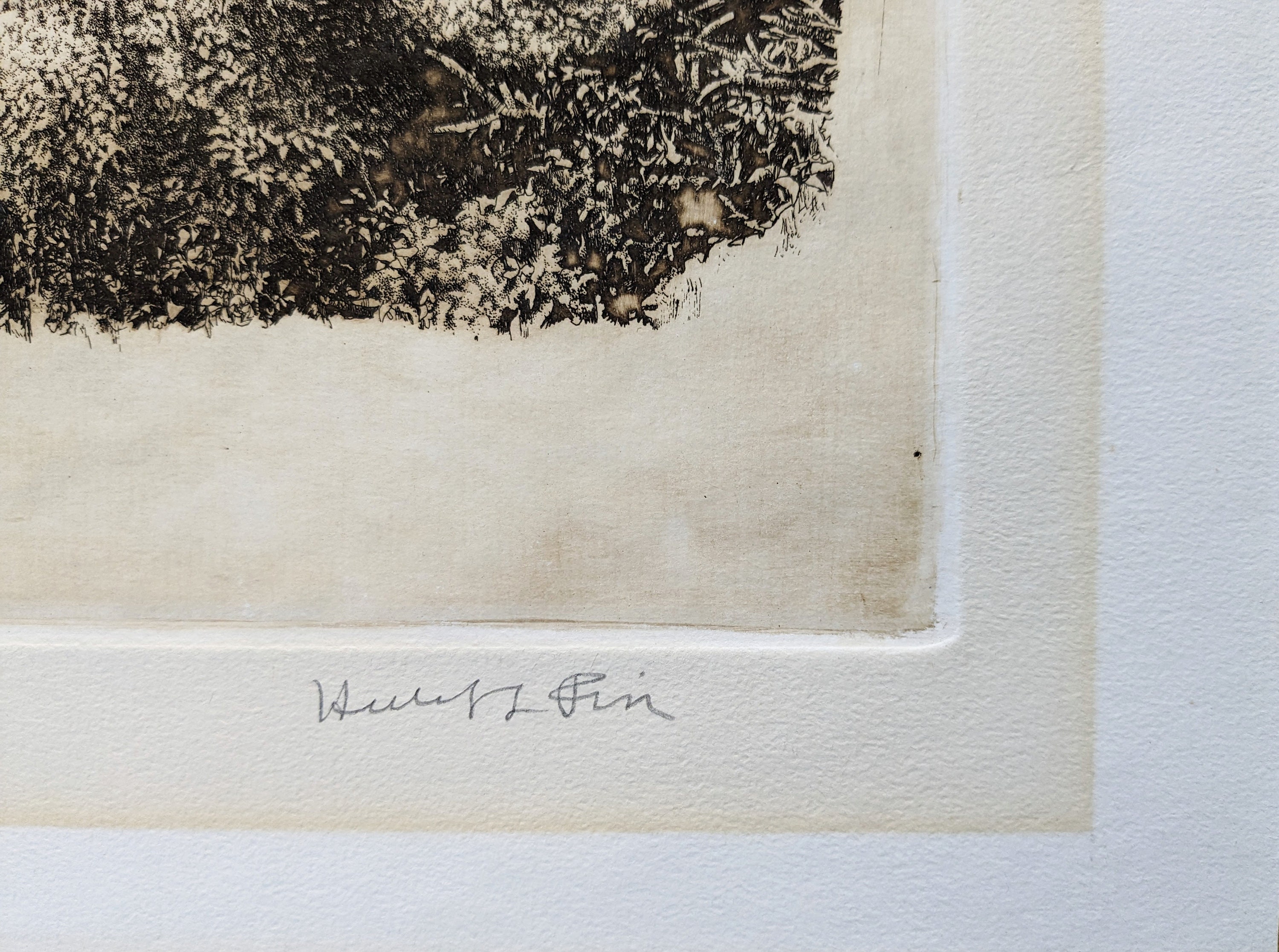 Herbert L. Fink Etching hawk at Owl's Head maine, 1973, Signed - Etsy