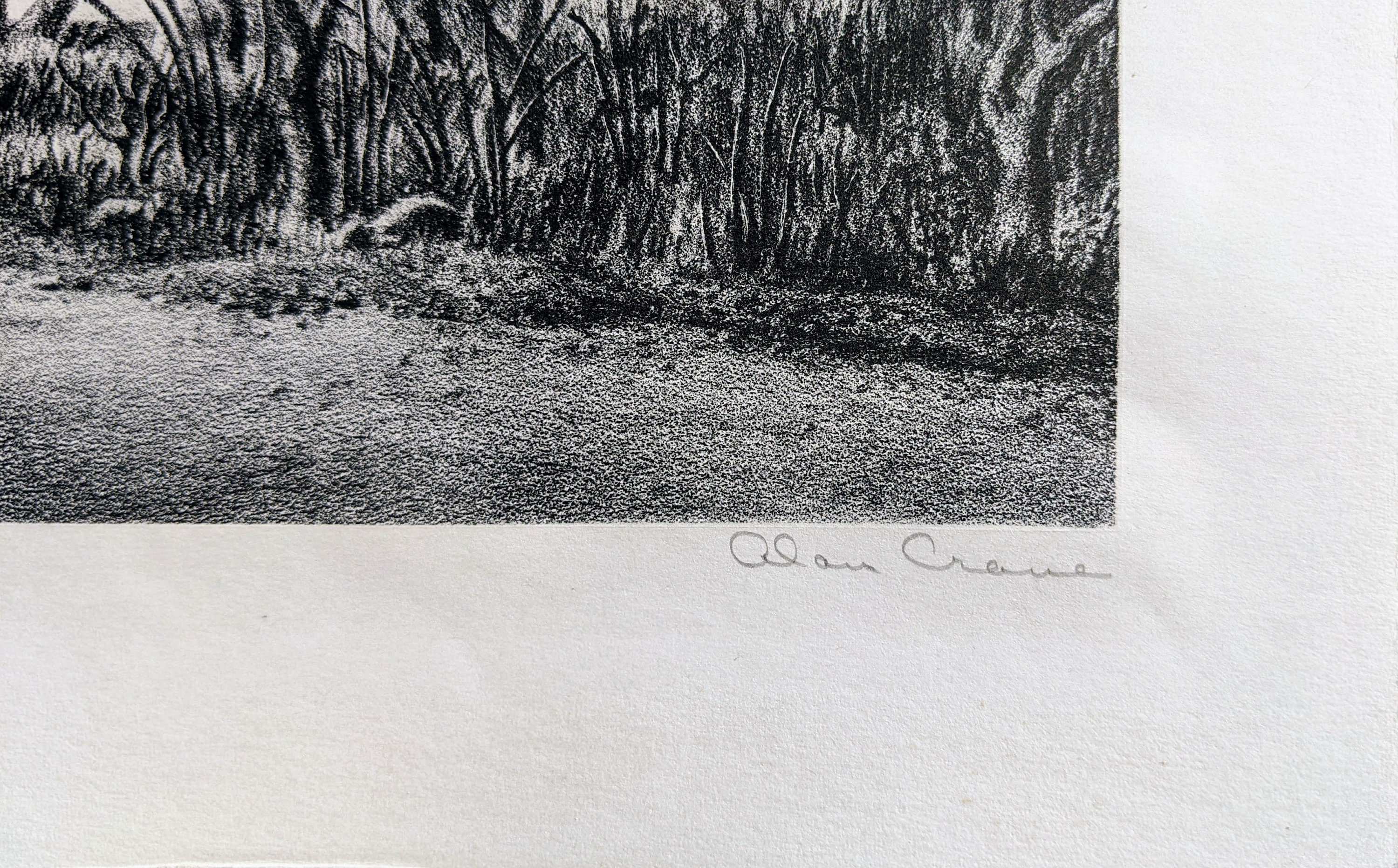 Alan Crane Lithograph "november" C. 1950s, Signed - Etsy