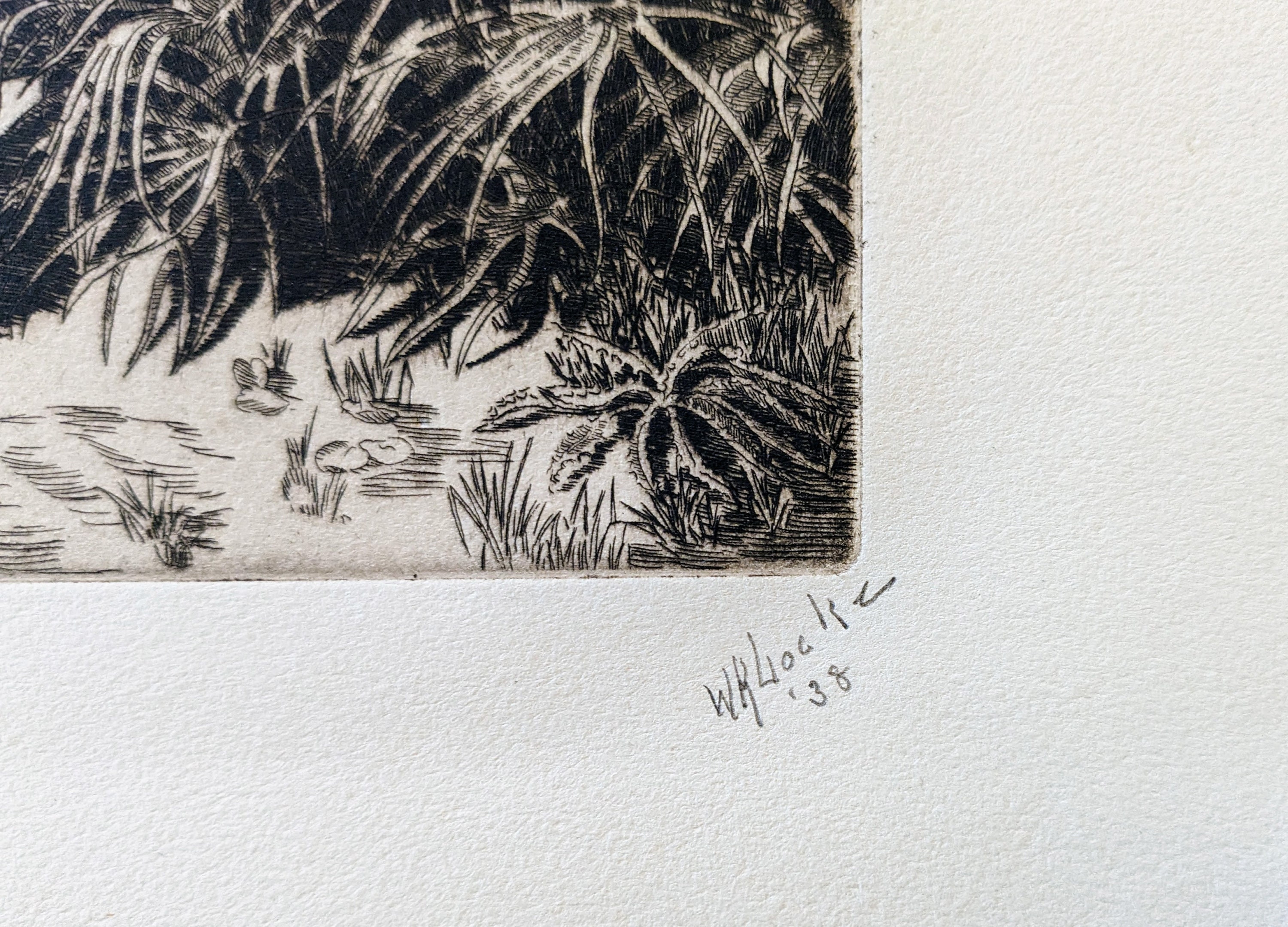 Walter Ronald Locke Etching "the Old Mulberry Tree" 1938, Signed - Etsy