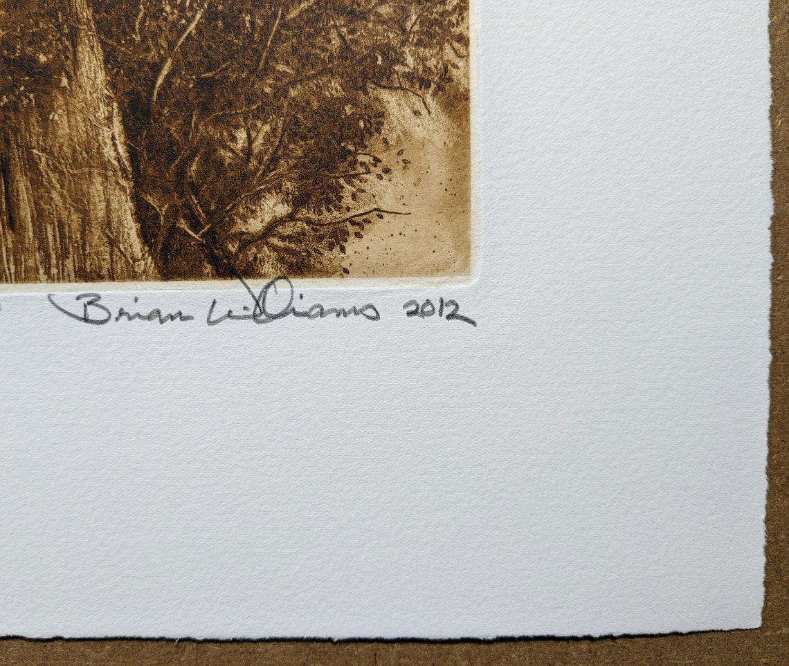 Brian Williams Etching "ascending Dragon" 2012, Signed - Etsy