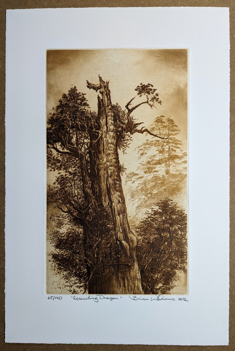 Brian Williams Etching "ascending Dragon" 2012, Signed - Etsy