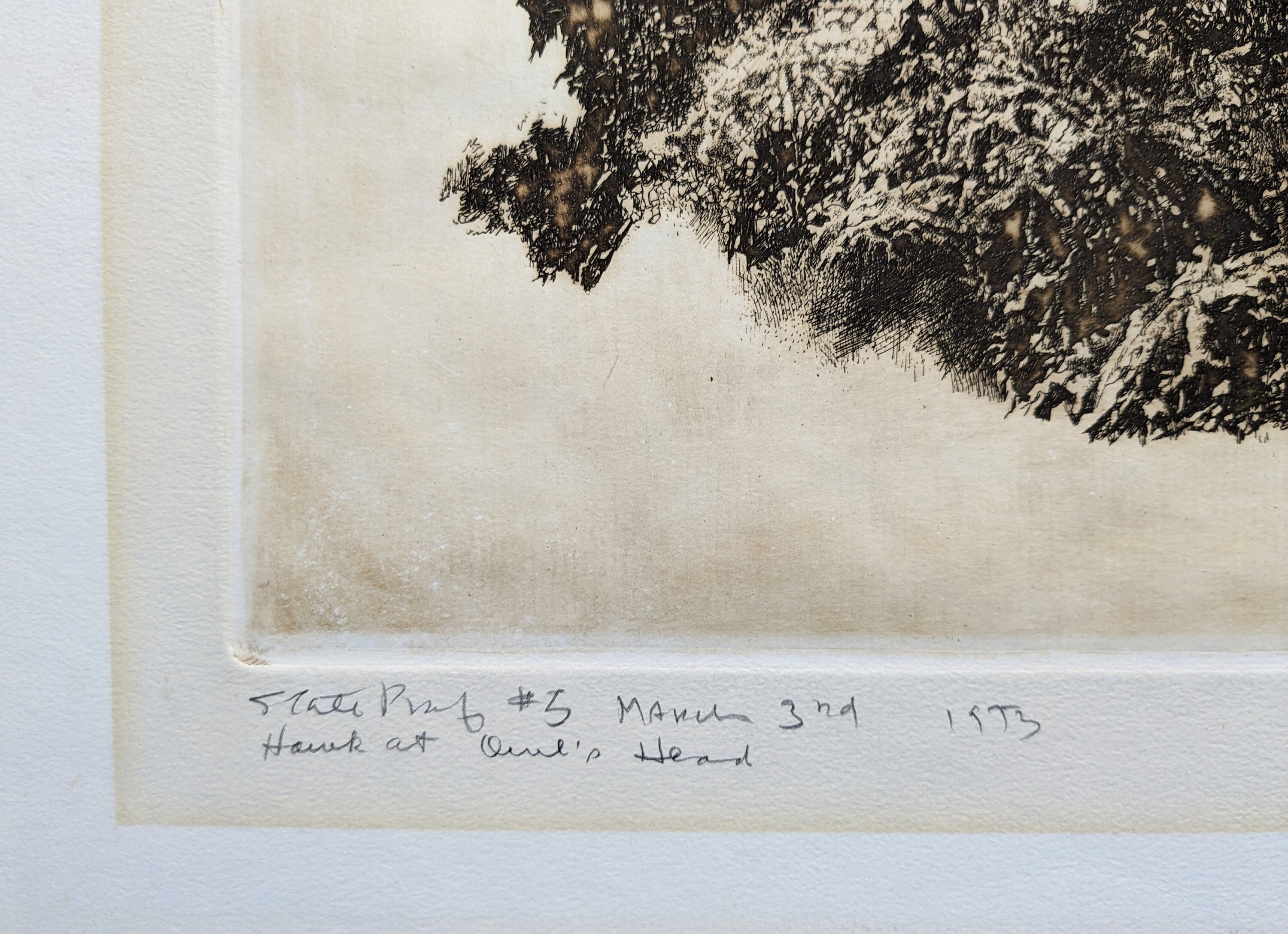 Herbert L. Fink Etching hawk at Owl's Head maine, 1973, Signed - Etsy