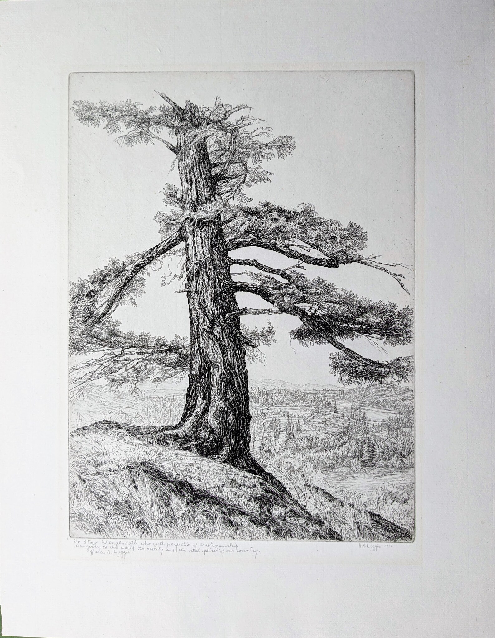 Helen A Loggie Etching "from Goat Mountain" 1932, Signed - Etsy