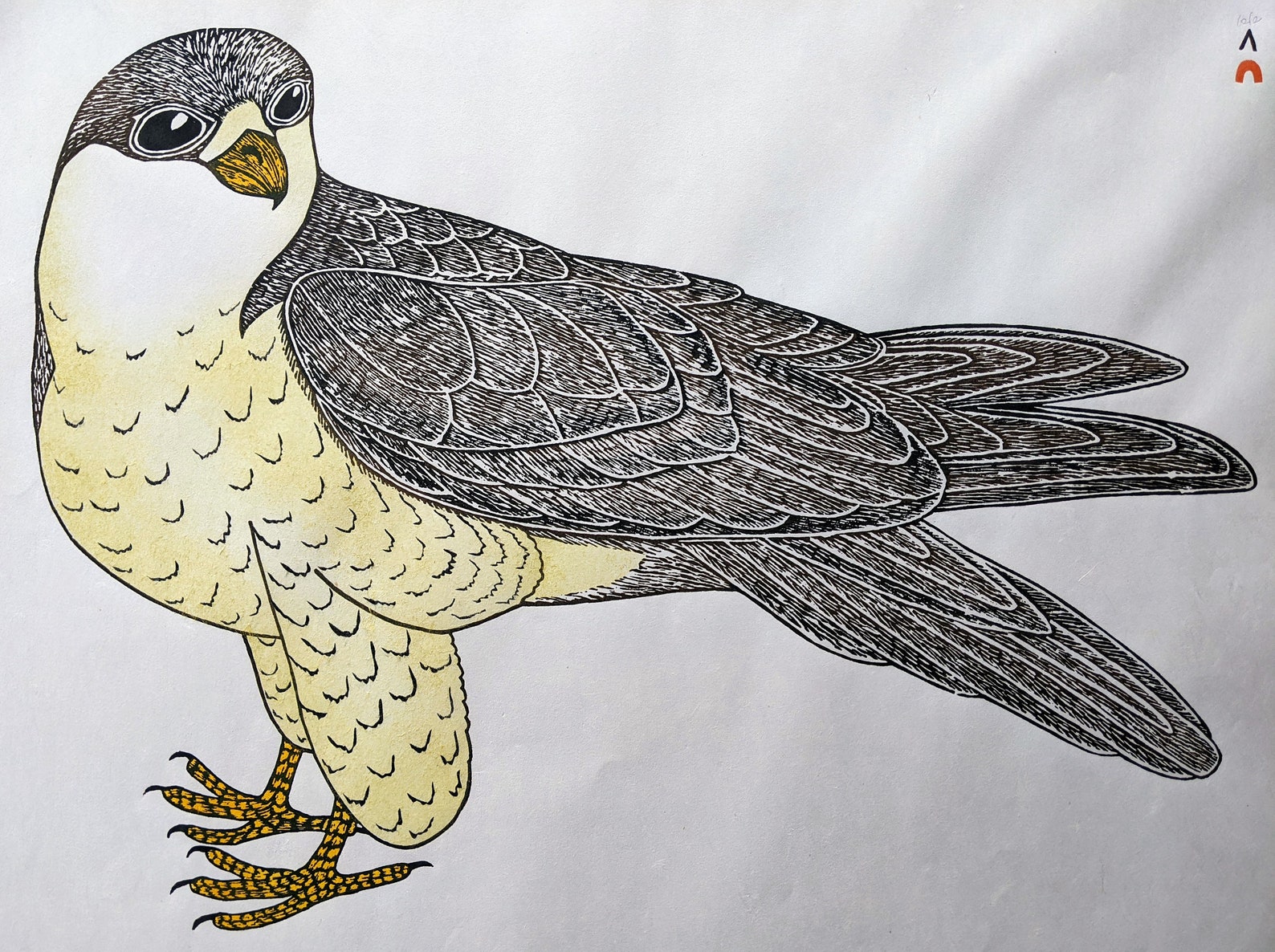 Kananginak Pootoogook (inuit) Stonecut and Stencil "watchful Falcon ...