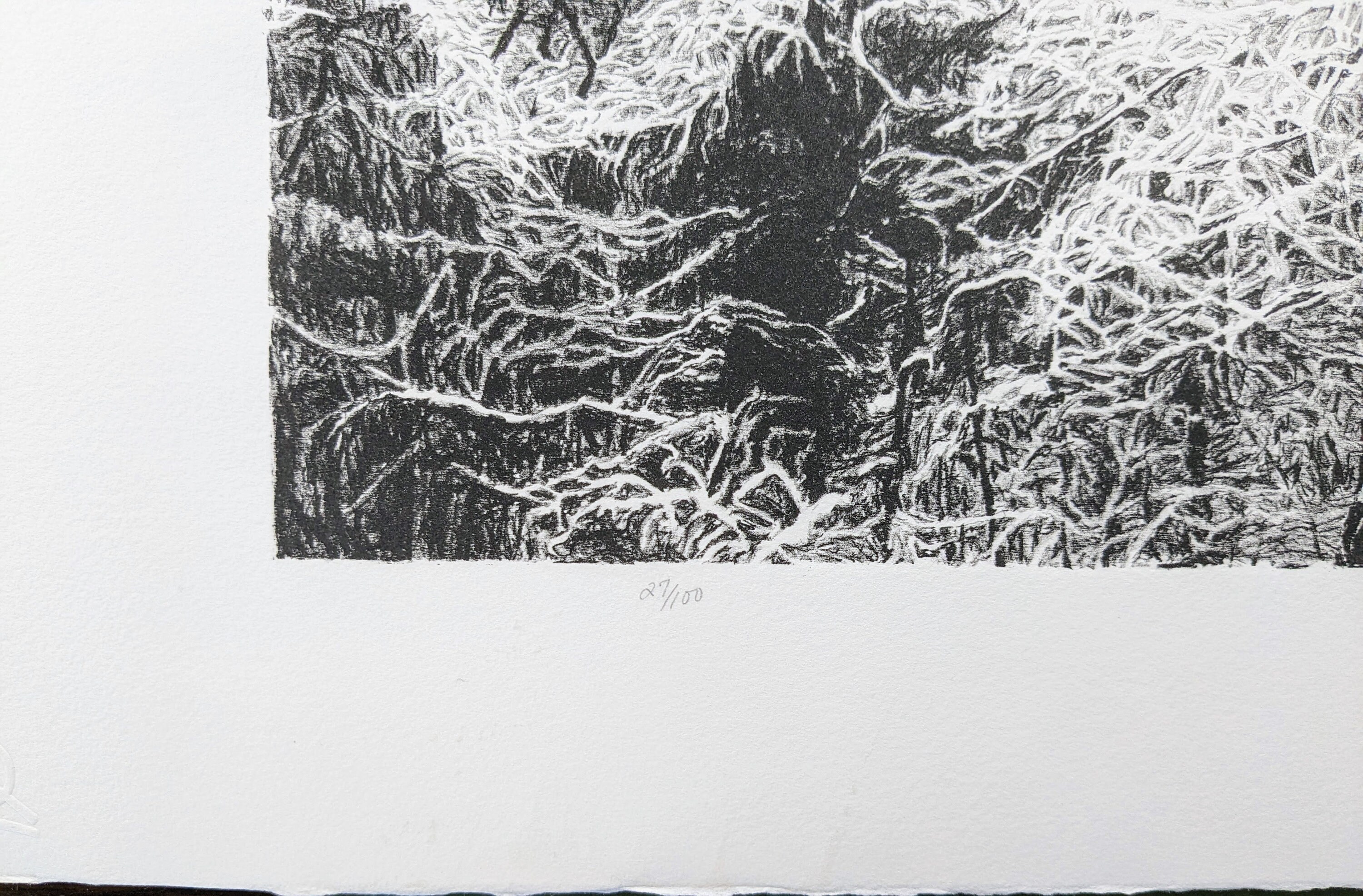 Barbara Pihos Lithograph first Snow C. 1990, Signed - Etsy