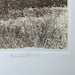 Herbert L. Fink Etching "oaks and Hickories" 1980, Signed - Etsy