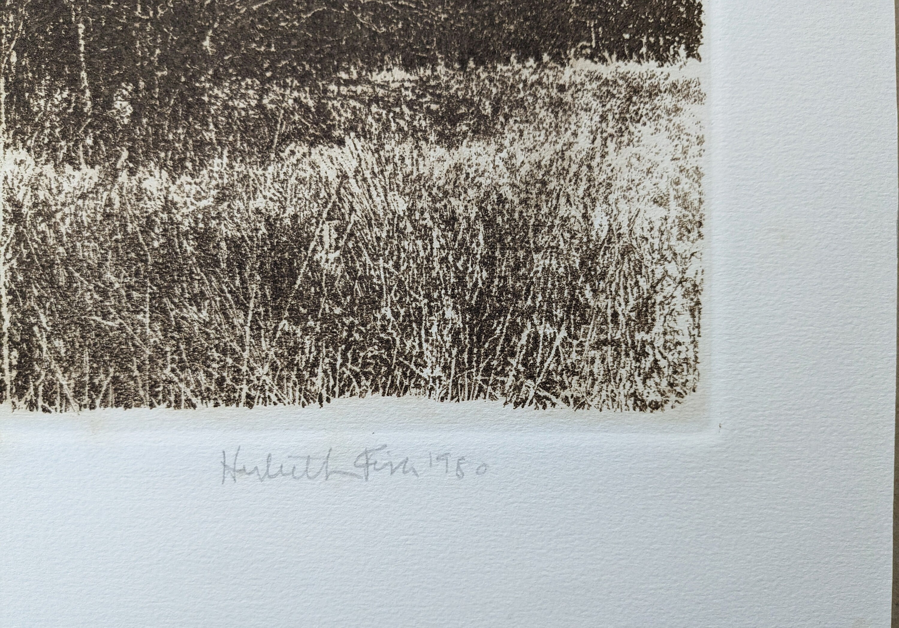 Herbert L. Fink Etching "oaks and Hickories" 1980, Signed - Etsy