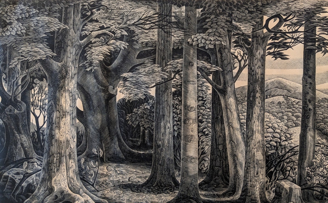 Monica Poole (british) Wood Engraving "edge of the Wood" C. 1975 ...