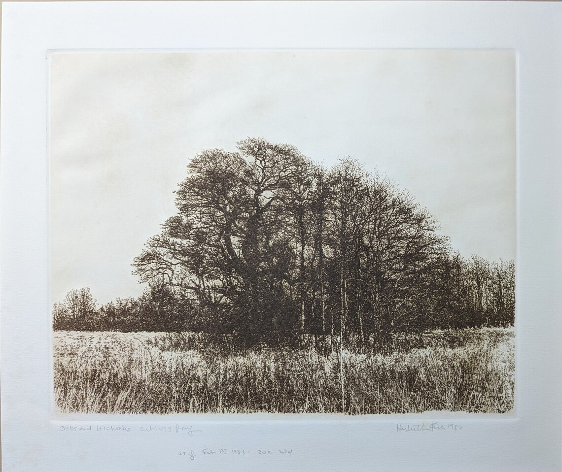 Herbert L. Fink Etching "oaks and Hickories" 1980, Signed - Etsy
