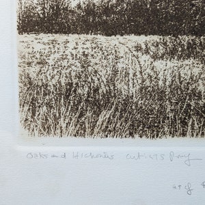 Herbert L. Fink Etching "oaks and Hickories" 1980, Signed - Etsy