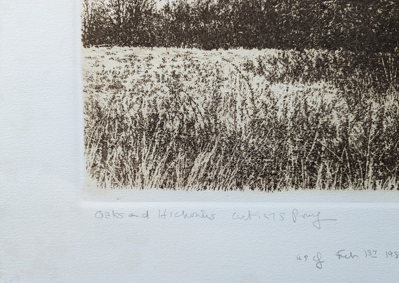 Herbert L. Fink Etching "oaks and Hickories" 1980, Signed - Etsy