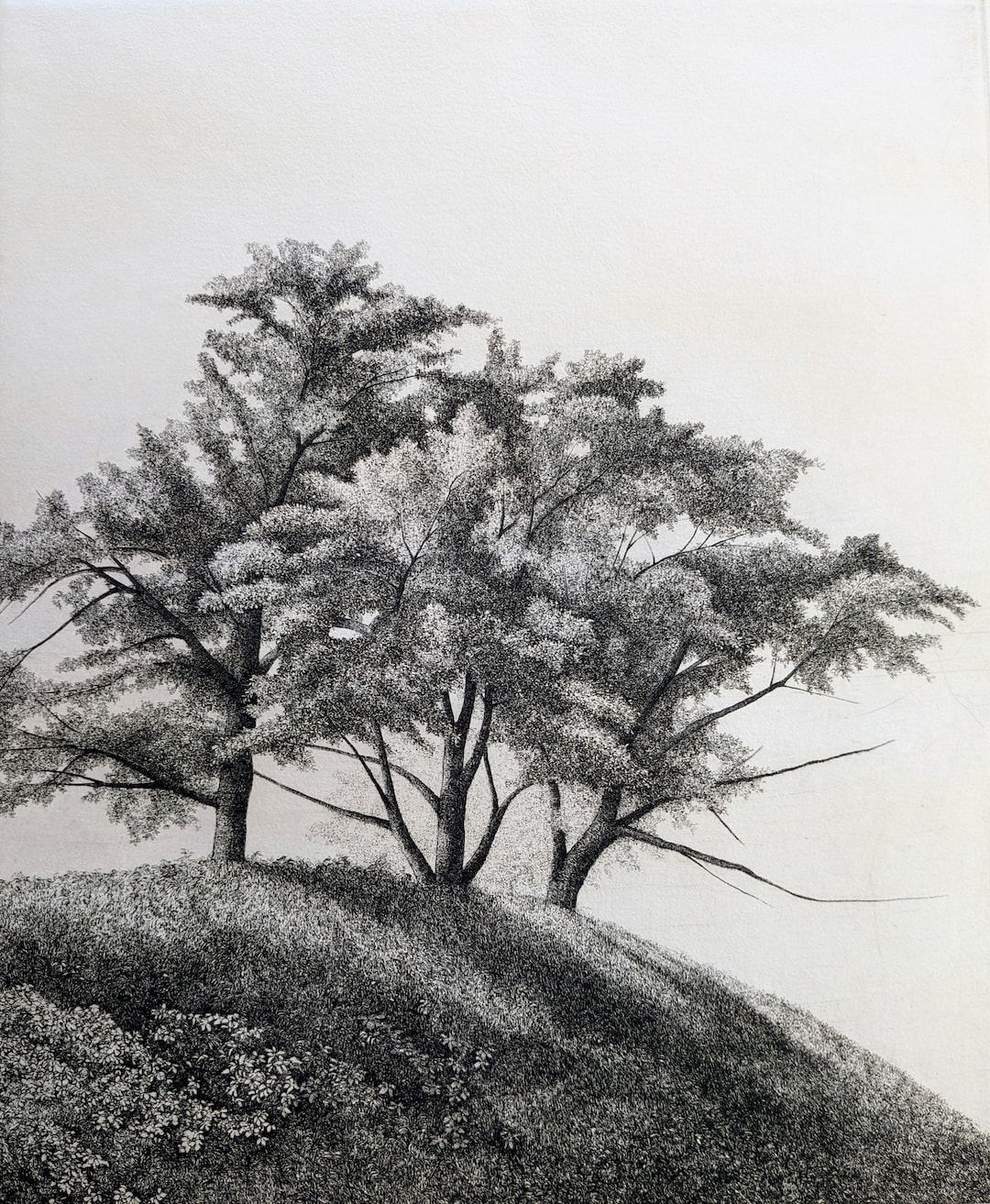 Shigeki Tomura (japanese) Etching "three Trees" 1984, Signed - Etsy