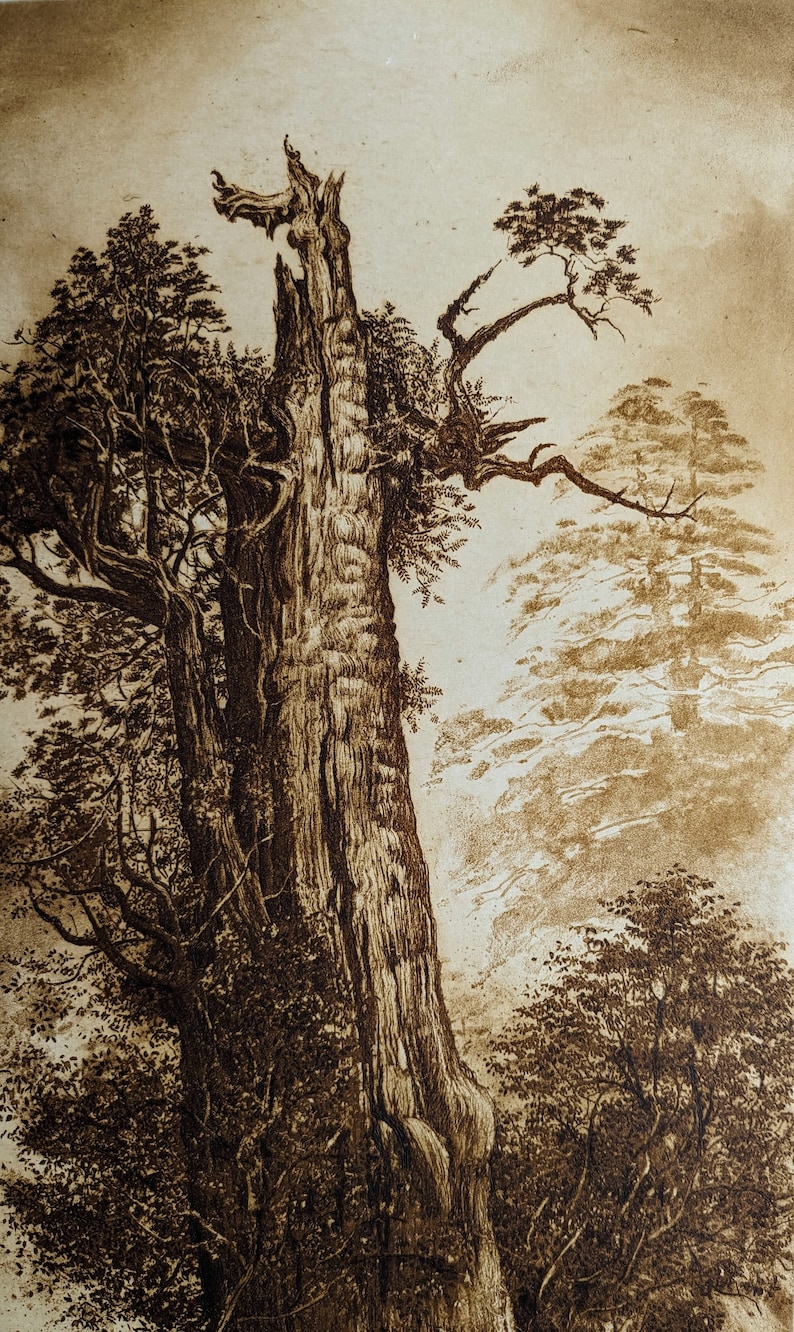 Brian Williams Etching "ascending Dragon" 2012, Signed - Etsy