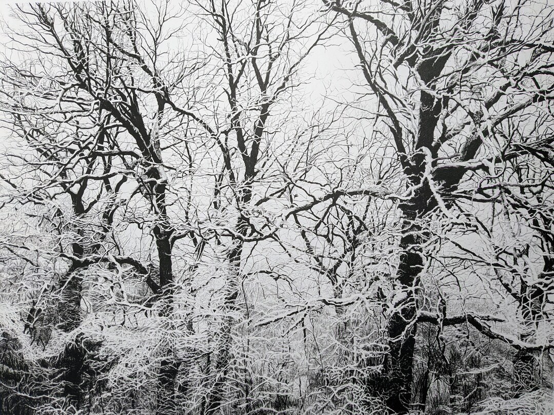Barbara Pihos Lithograph "first Snow" C. 1990, Signed - Etsy