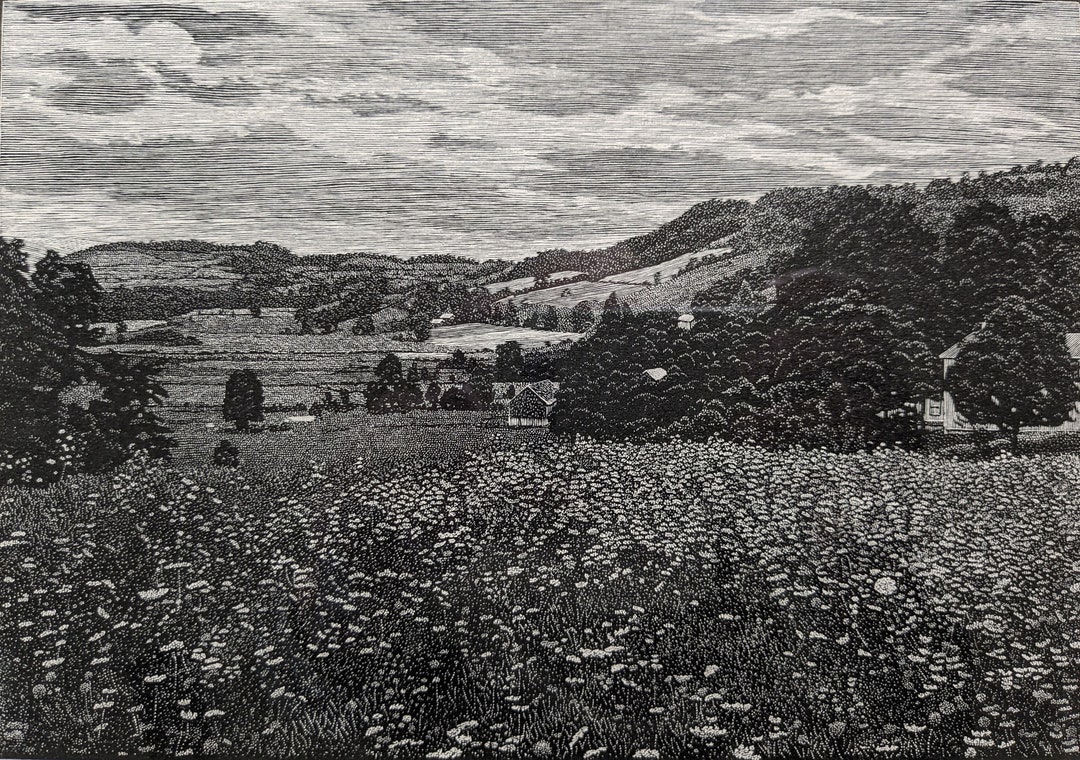 Warren Mack Wood Engraving "queen Anne's Lace" 1947, Signed - Etsy