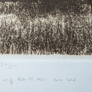 Herbert L. Fink Etching "oaks and Hickories" 1980, Signed - Etsy